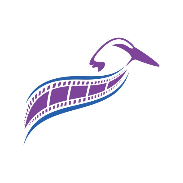 Inferno, Factory Fire, Durban, Toxic by Anton Herrington – Stock ...