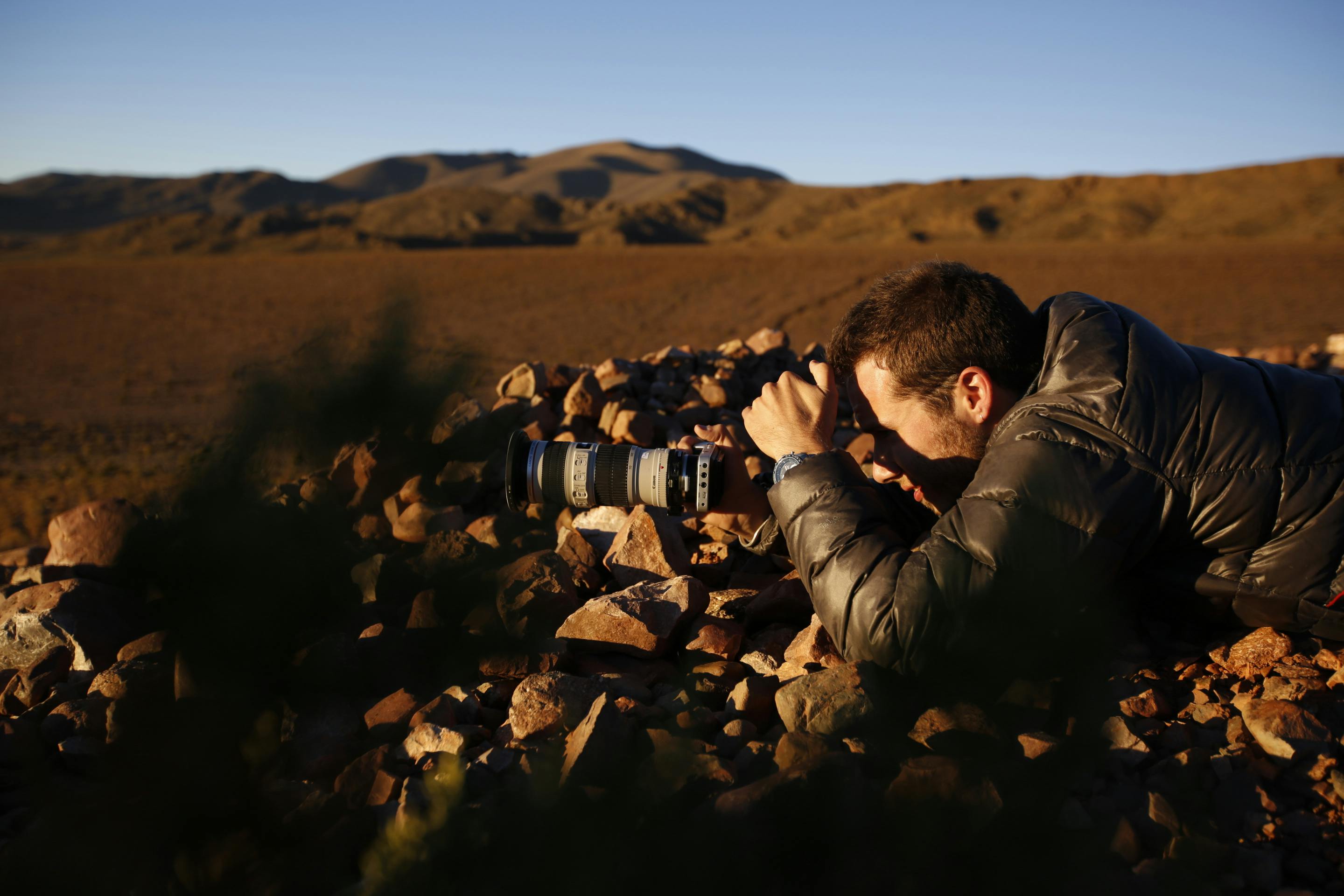 Cabins, Dolomites, Town, Pine Trees by Pierre Saba-Aris – Stock Footage ...
