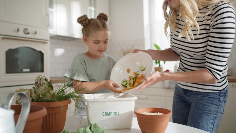 Girl, Compost, Vegetables, Food Leftovers by Gpoint Studio – Stock ...