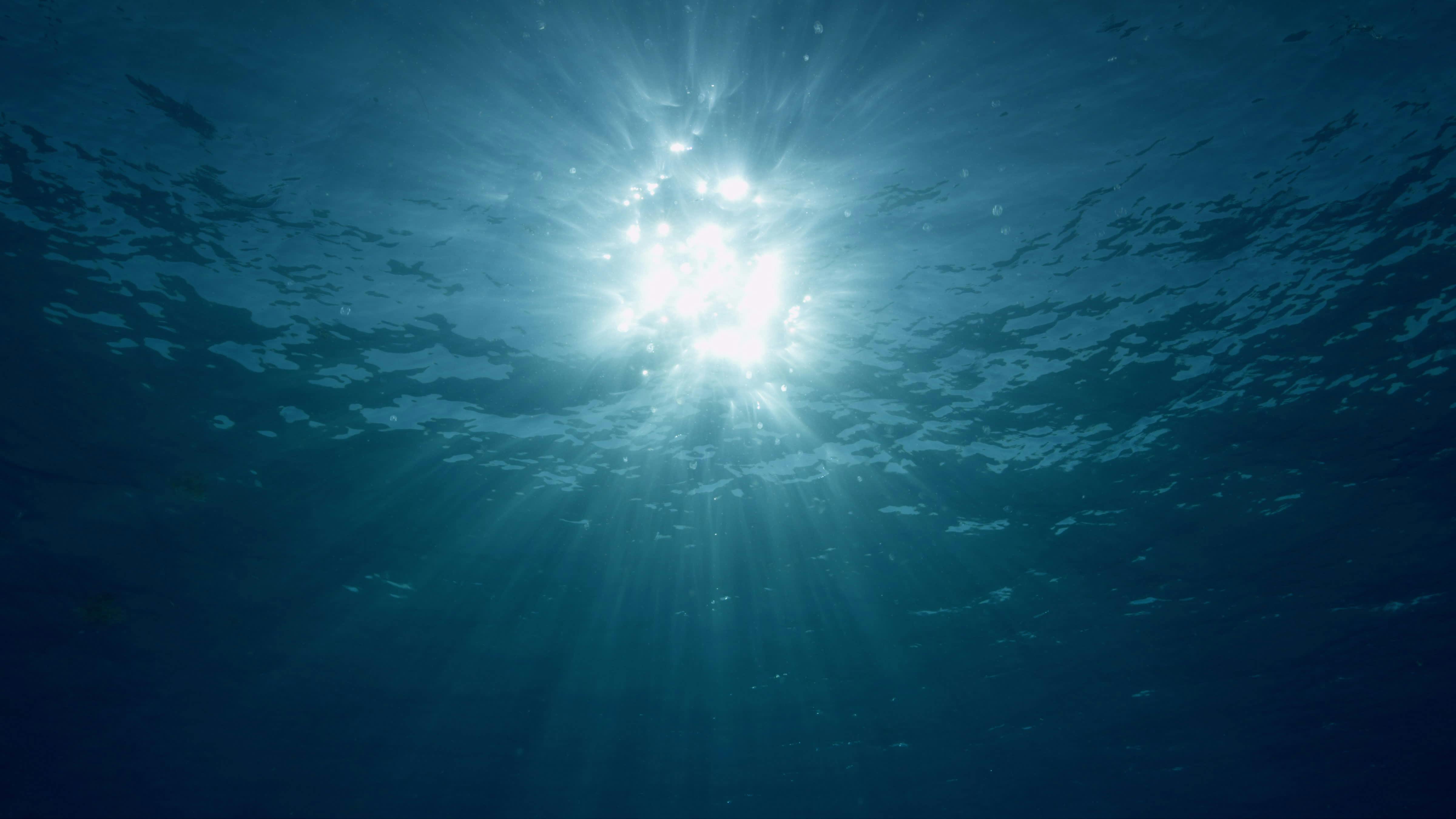 Discover Sunrays Underwater, a story-driven footage | Artlist
